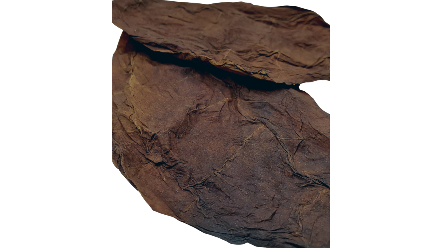 Original Grabba Whole Leaf Single Pack | Negril Hills Smoke Company